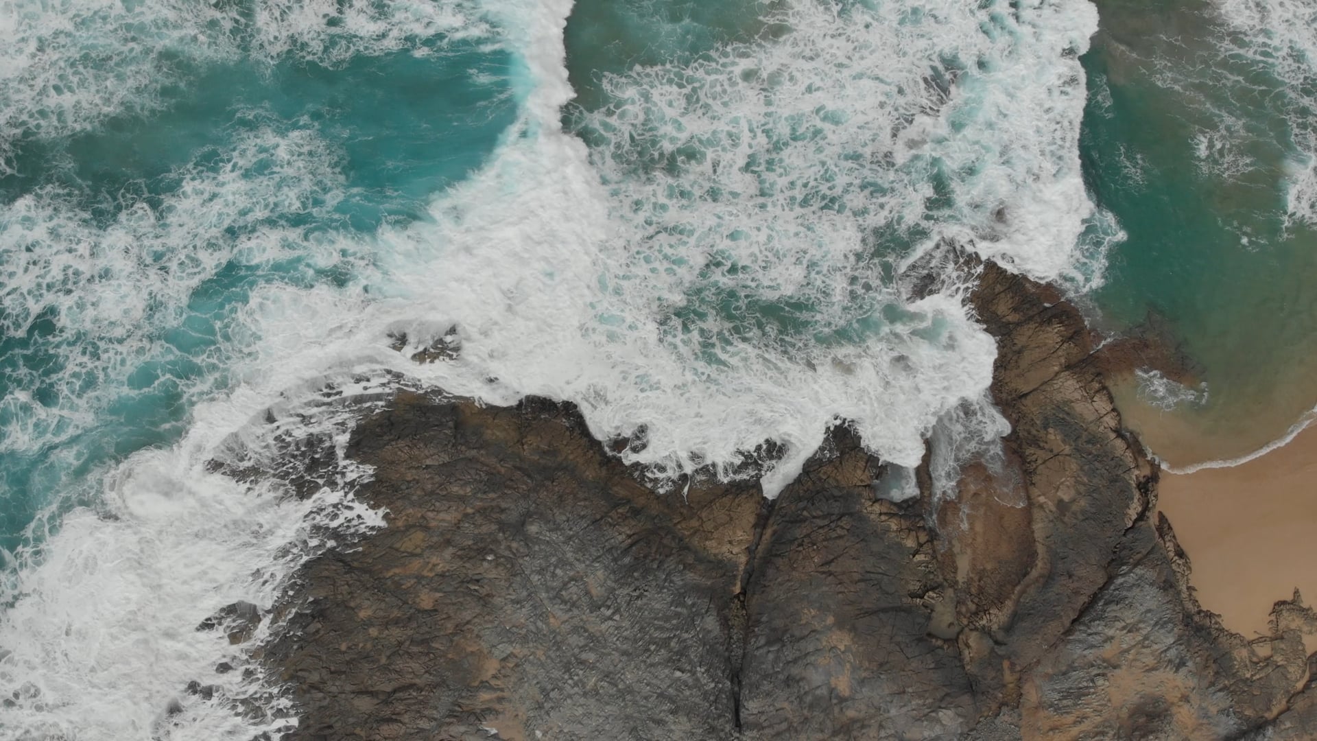 Build Your Legacy REI