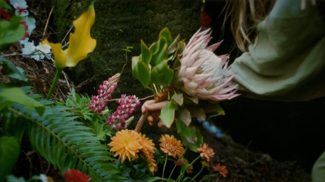 Merriwick Flower | Best Flower Site