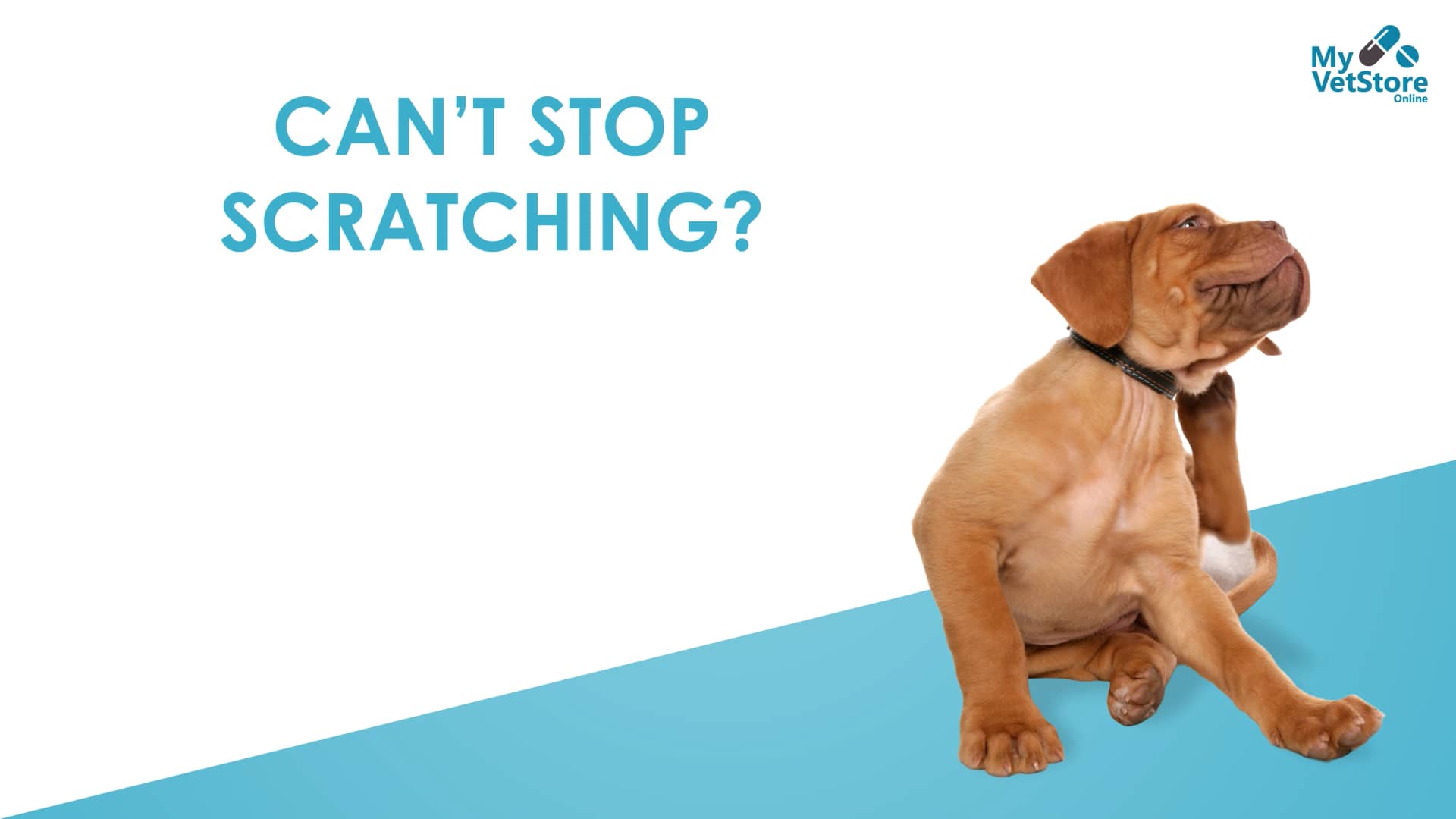 Can't Stop Scratching? on Vimeo