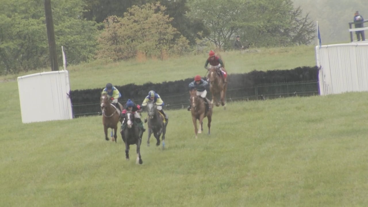 2023 Middleburg Spring Races - Middleburg Spring 04 22 23 Race 2 on Vimeo