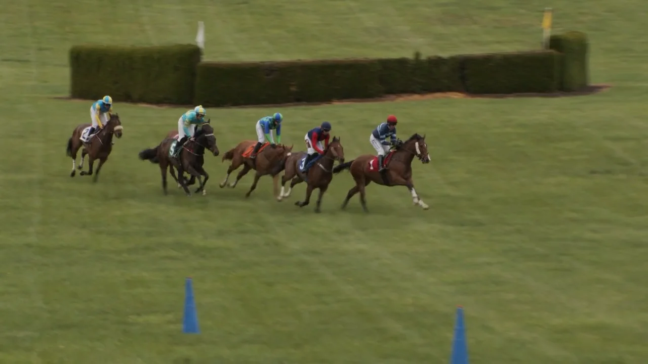 2023 Middleburg Spring Races - Middleburg Spring 04 22 23 Race 5 on Vimeo
