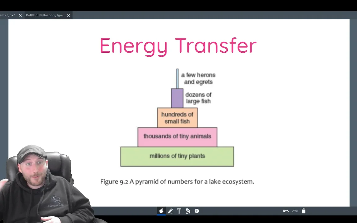 EM32 - Energy Transfer