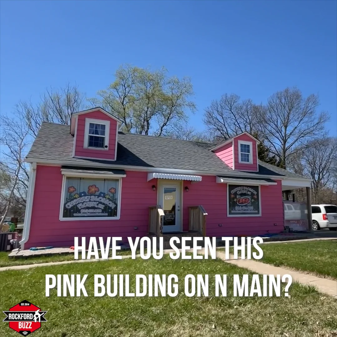 Cherry Blossom - Intro 2023 on Vimeo