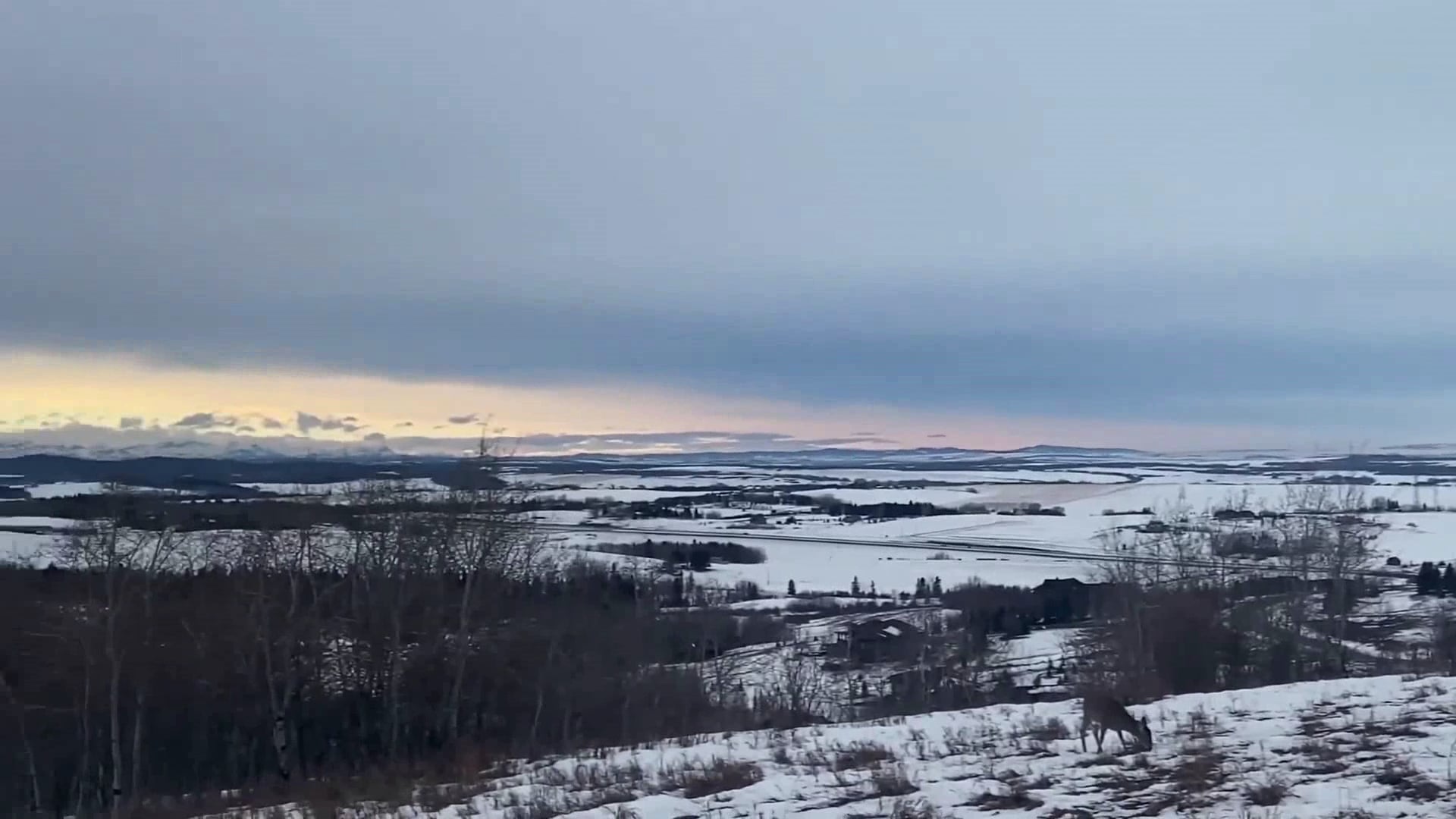 Sheldon Story of Hope on Vimeo