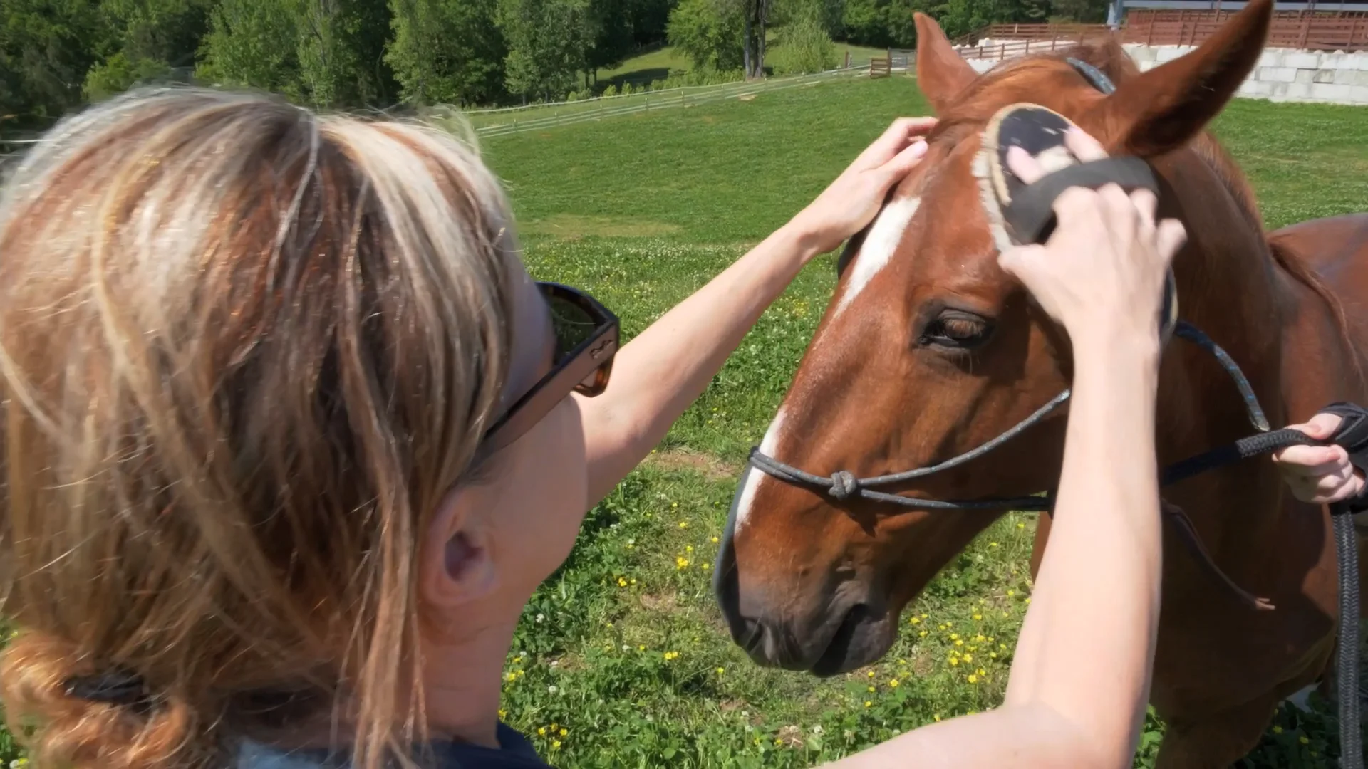 Dolly’s getting ready. Watch the video and find out why. on Vimeo