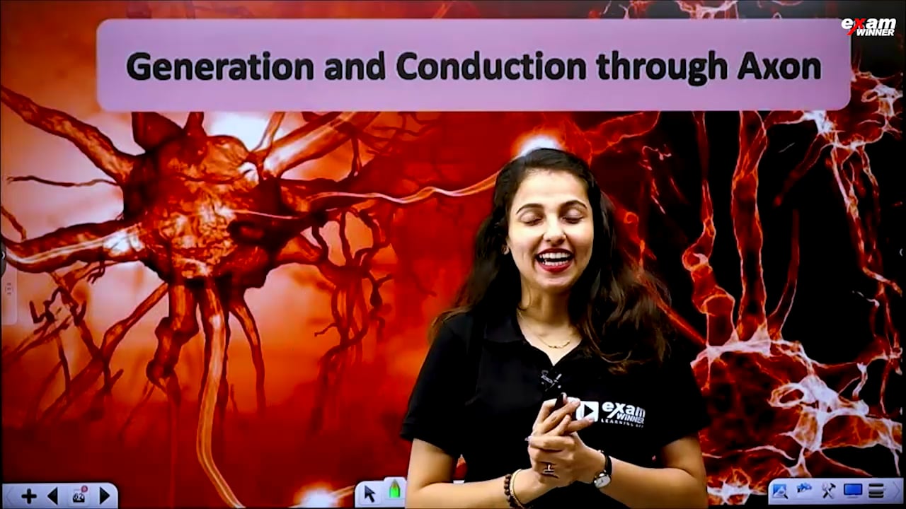 6. CONDUCTION OF IMPULSE on Vimeo