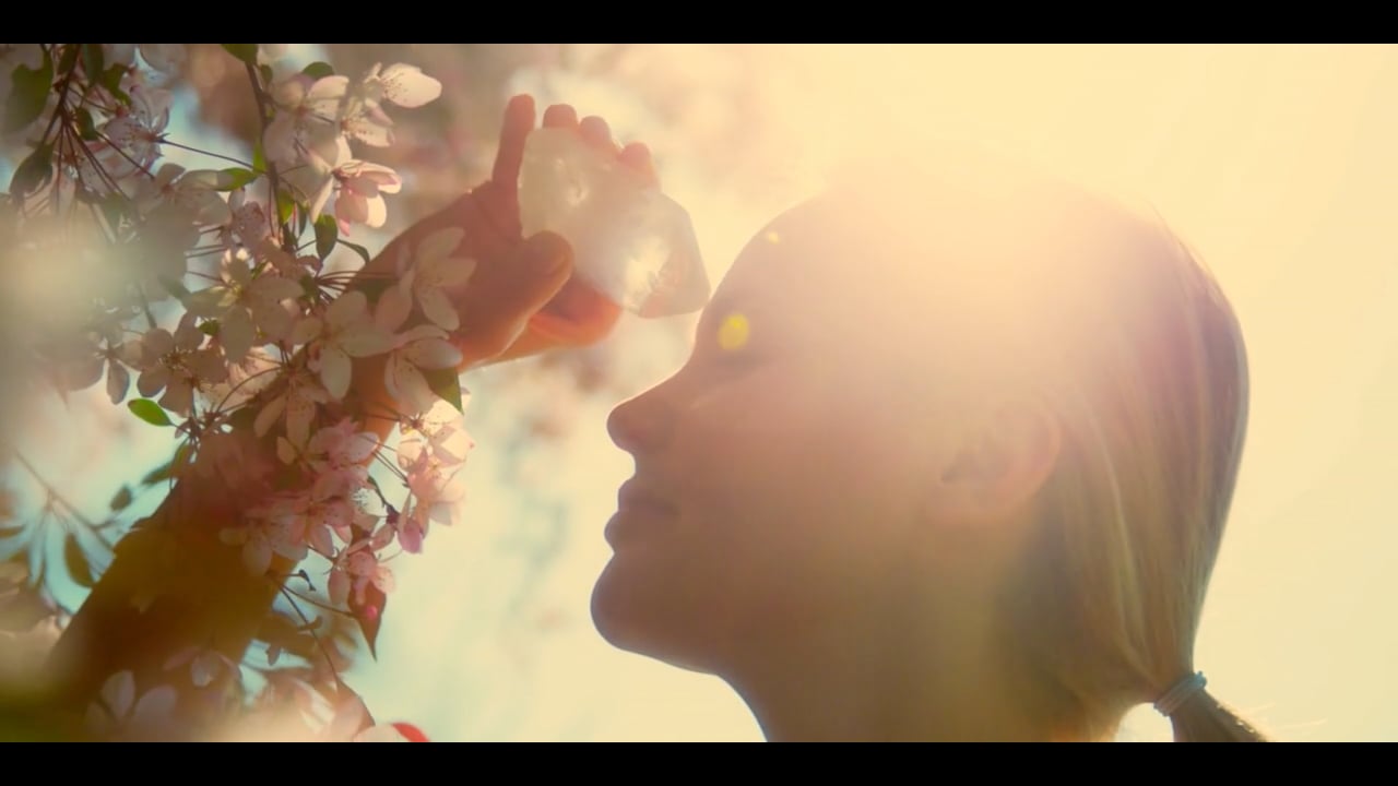 HOME [crystalmiracle.in]