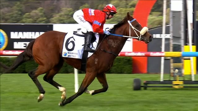 Foxwedge - Stallion | Breednet