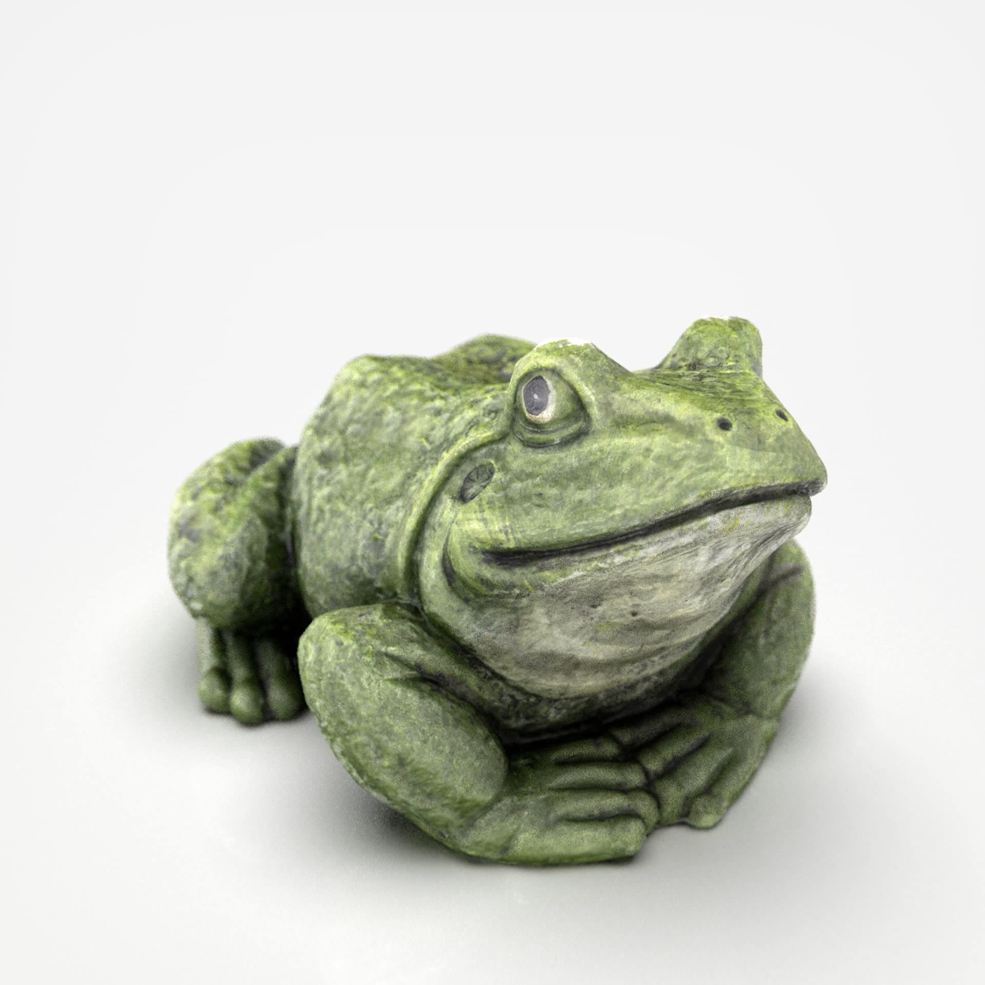 Realistic Toad 3D Model on Vimeo