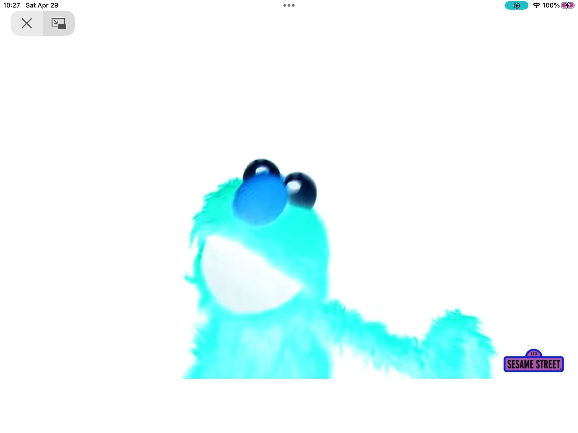 The Blah Blah Blahs Poos on Vimeo