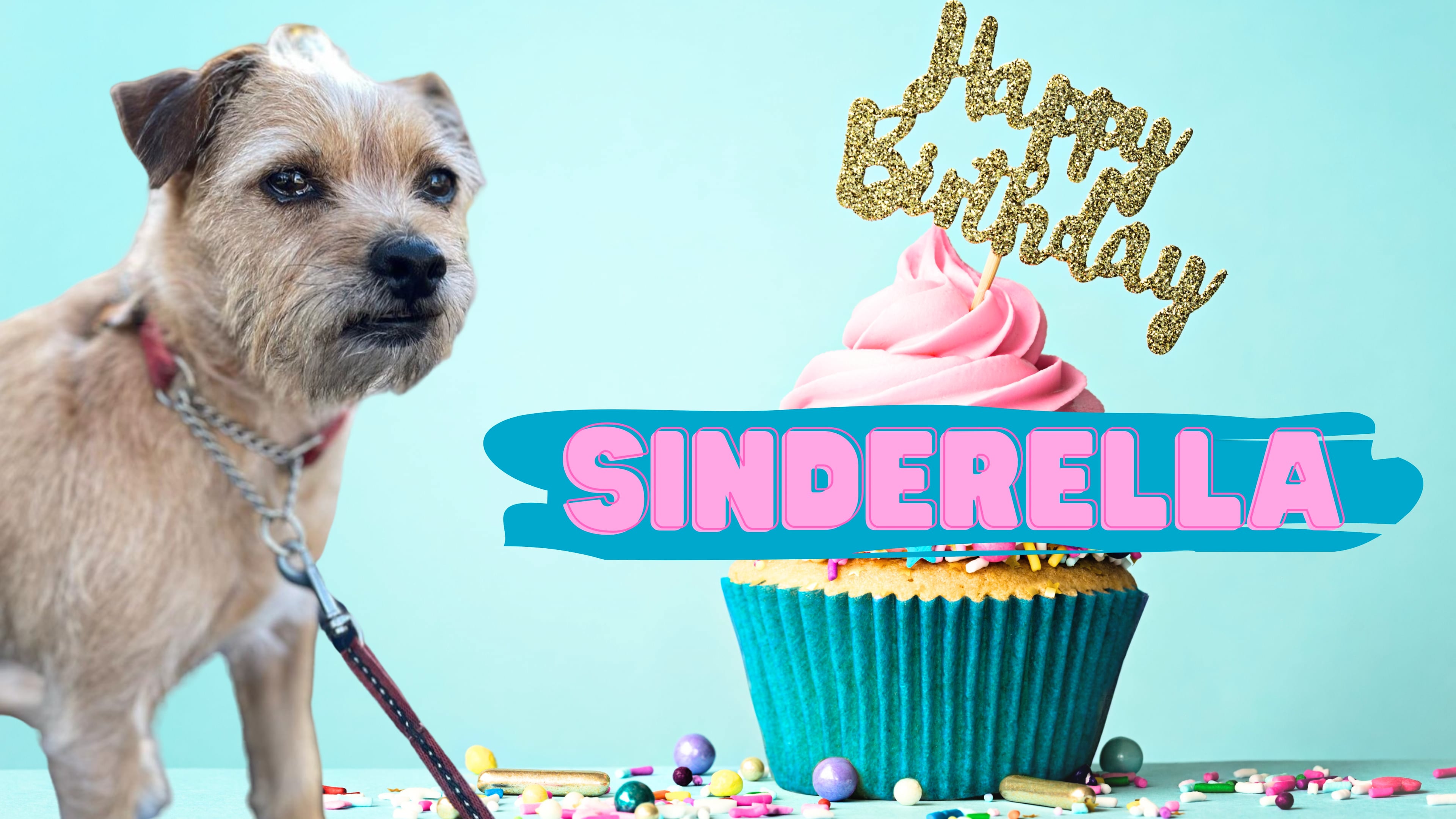 BIRTHDAY STREAM - HAPPY BIRTHDAY SINDERELLA! on Vimeo