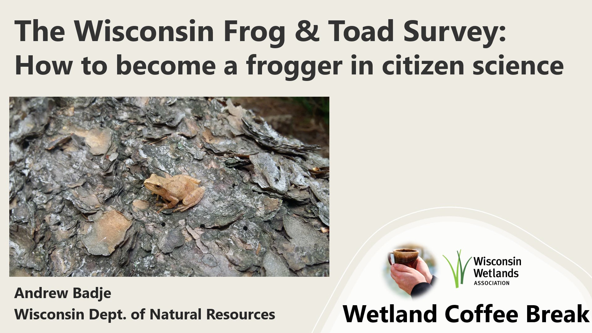 The Wisconsin Frog & Toad Survey: How to become a frogger in citizen ...