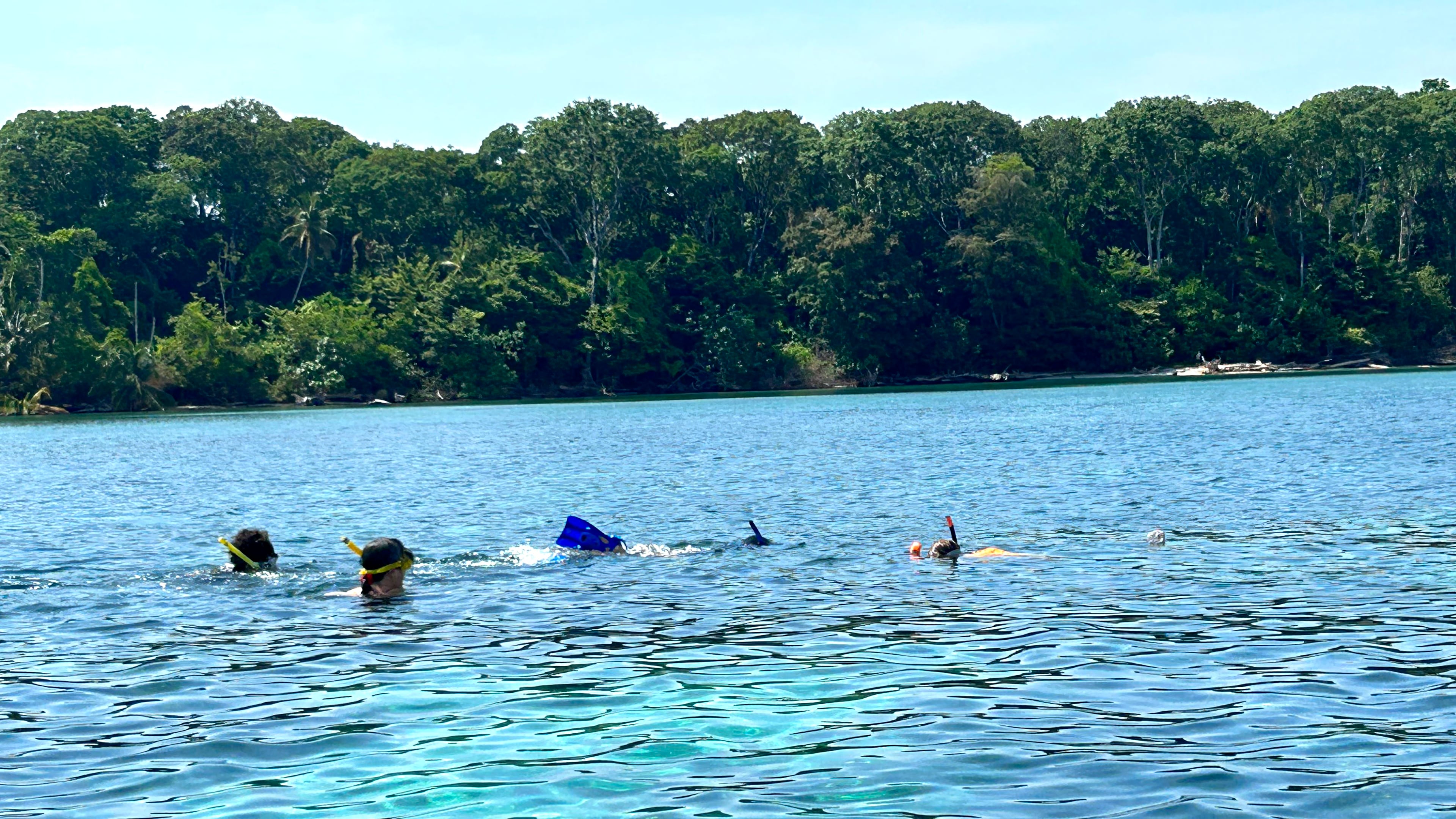 Tour Subacuatico Arqueológico Naturalista on Vimeo
