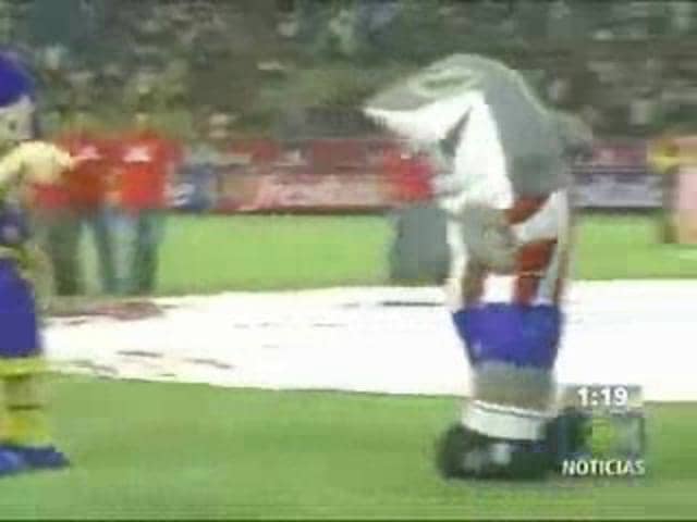 La historia del Tiburón Willie, mascota de Junior de Barranquilla on Vimeo