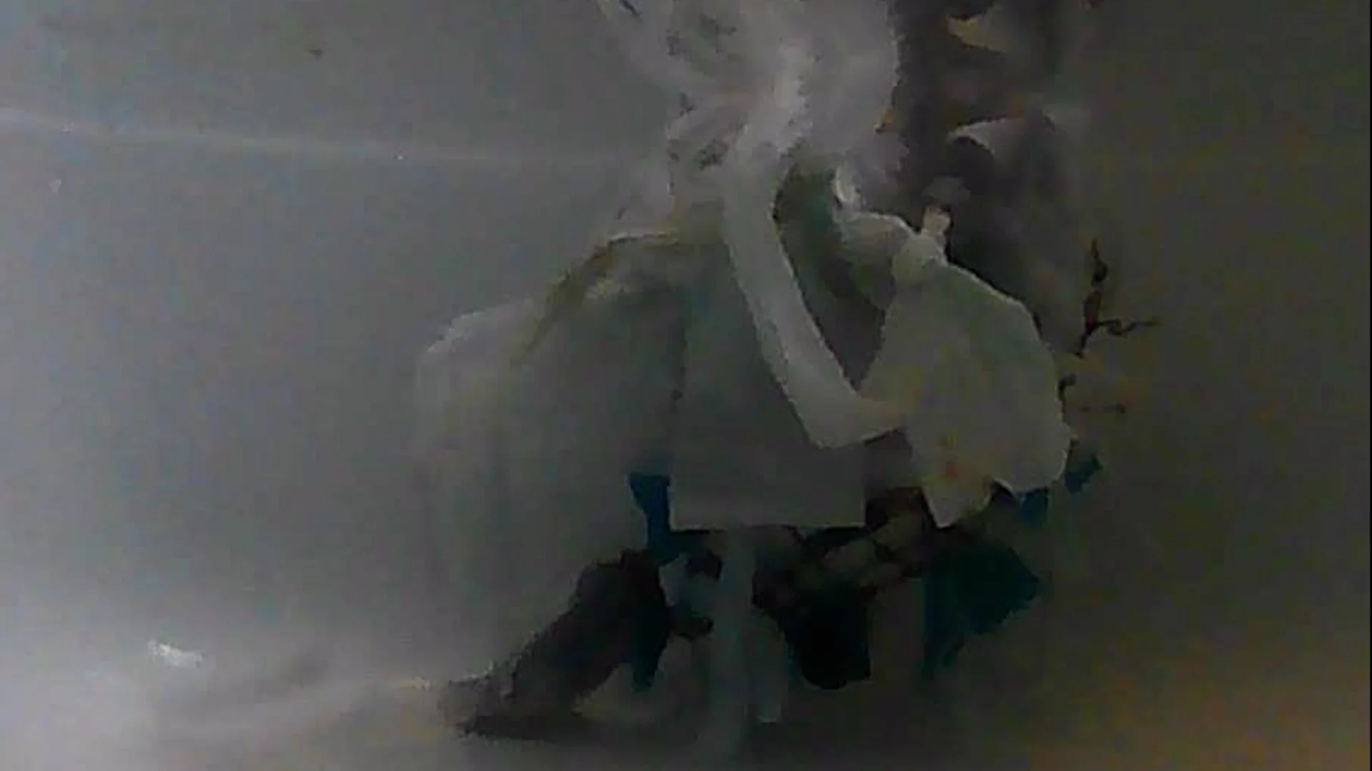 test work on Vimeo