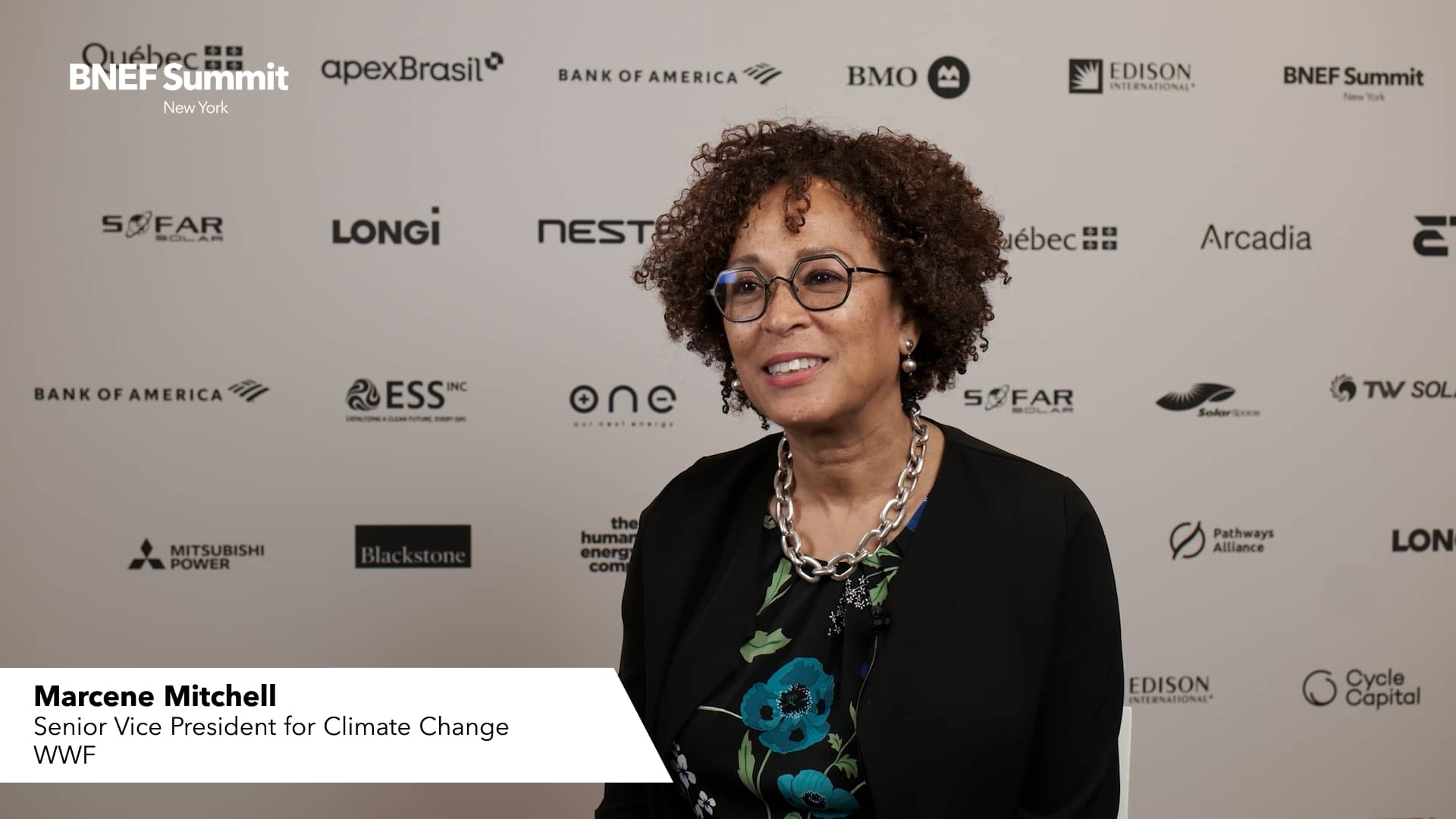 Marcene Mitchell, Senior Vice President for Climate Change, WWF on Vimeo