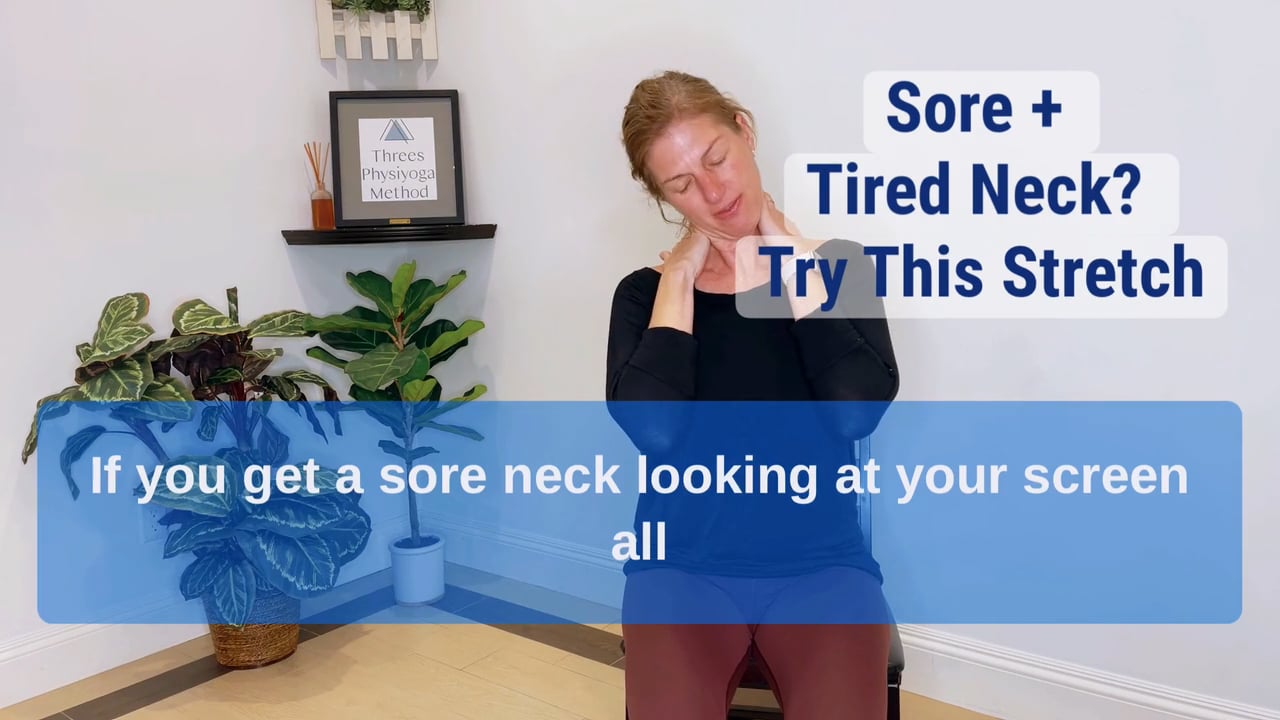 Scalene Stretch at Work on Vimeo