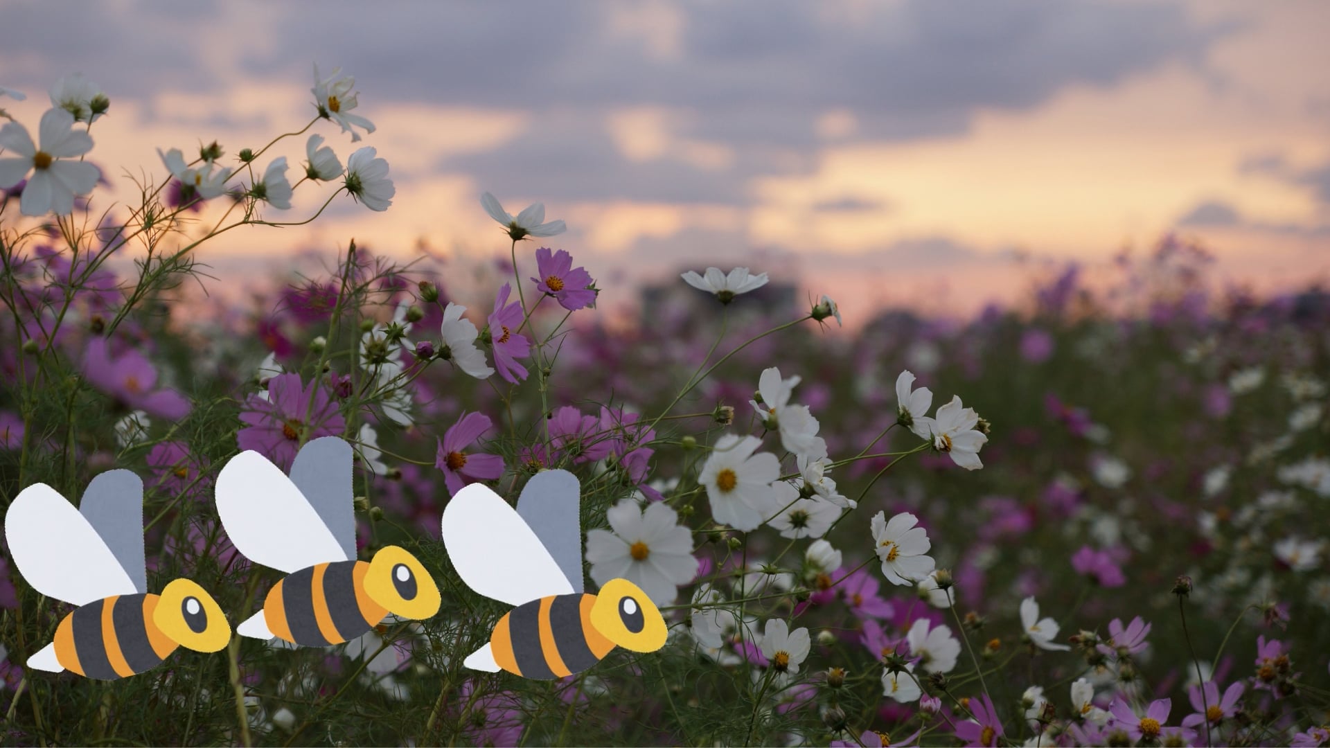 Help Save the Bees Foundation - Home