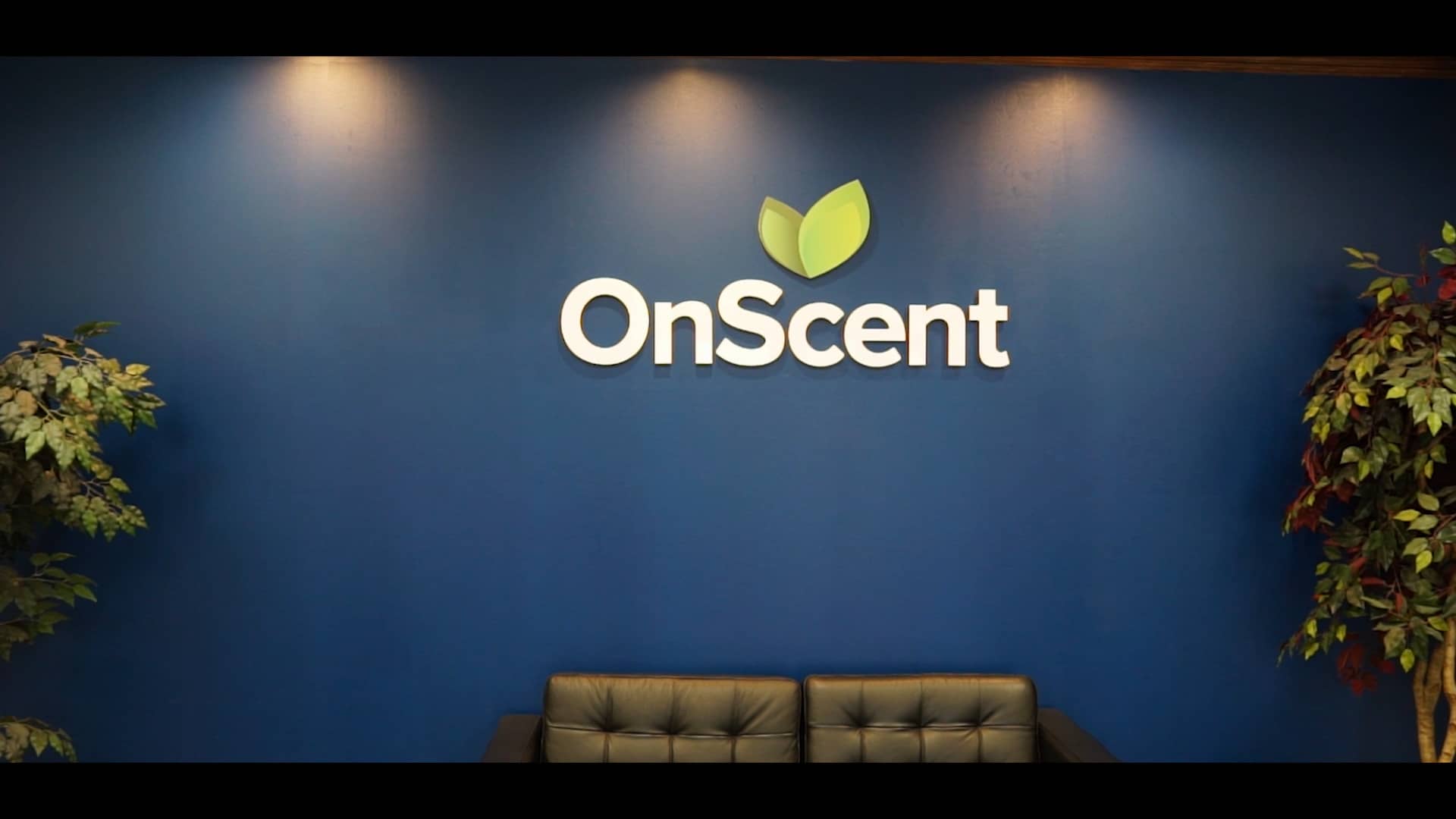OnScent_Final on Vimeo