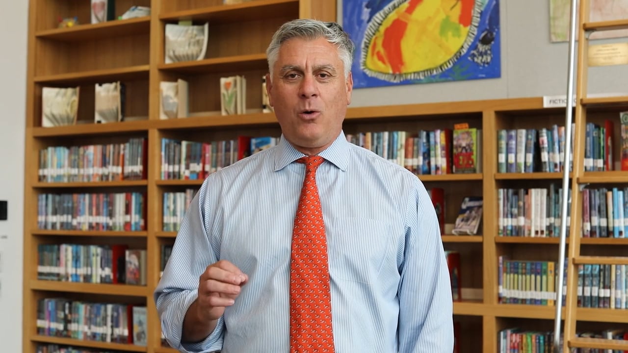 Tiger Bash Text to Give Video