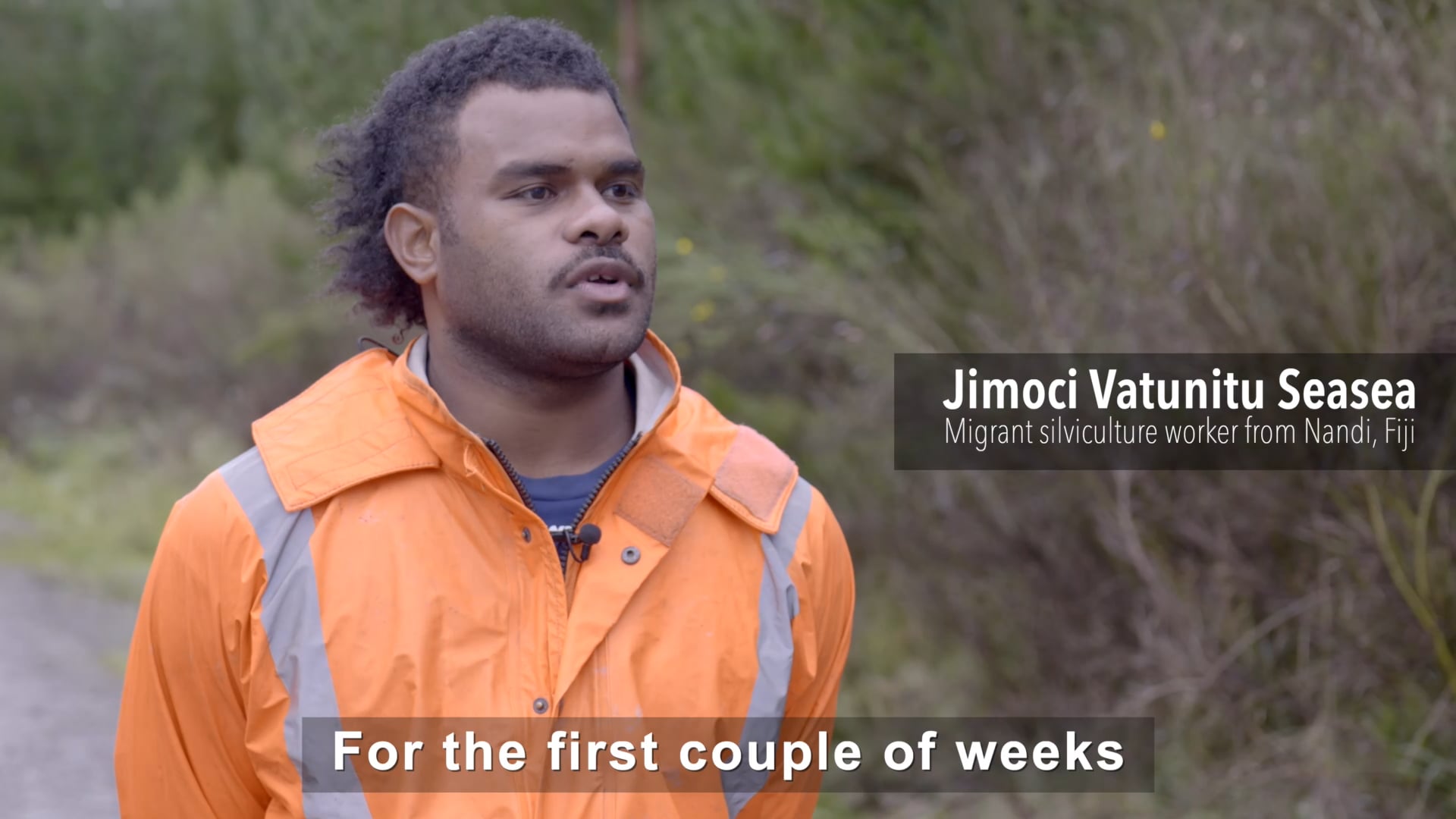 Employing migrant workers in silviculture on Vimeo