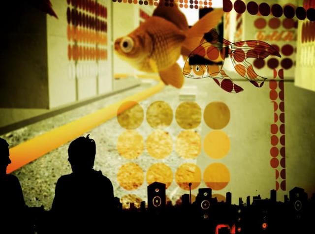 Goldfish All Night on Vimeo
