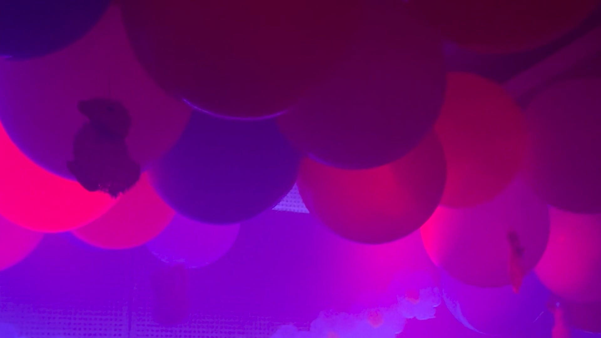 Sequence 01 on Vimeo