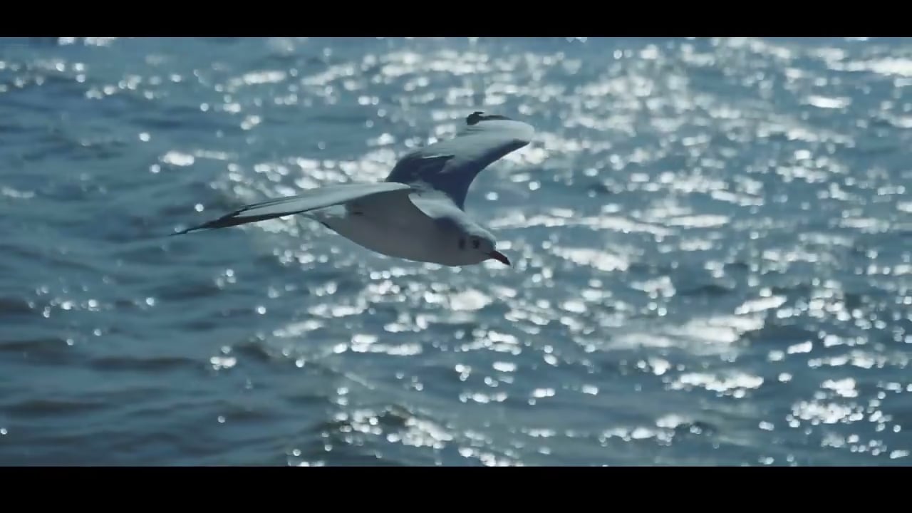 Just fly on Vimeo