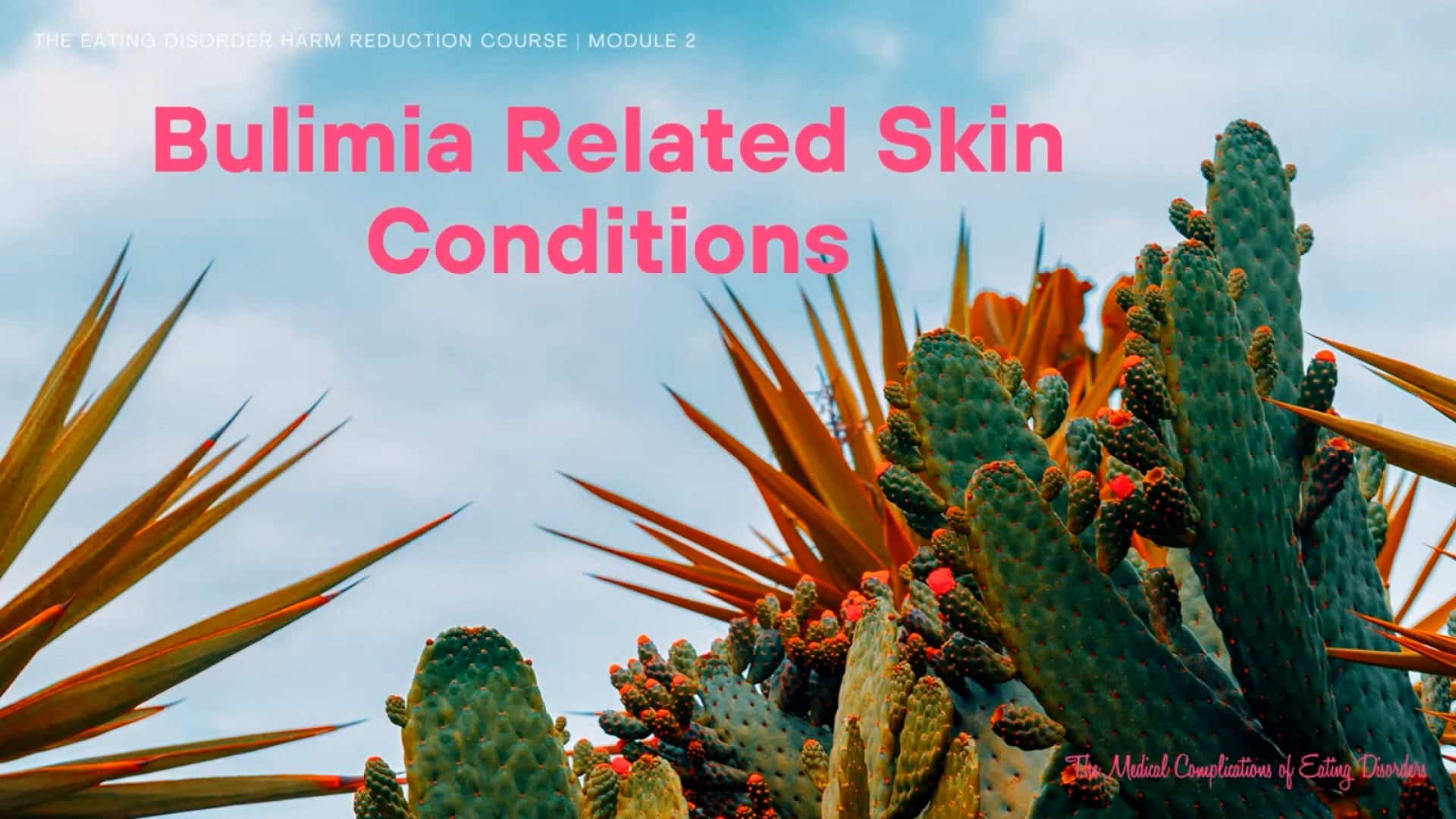 Bulimia Skin Manifestation M2 L4 on Vimeo