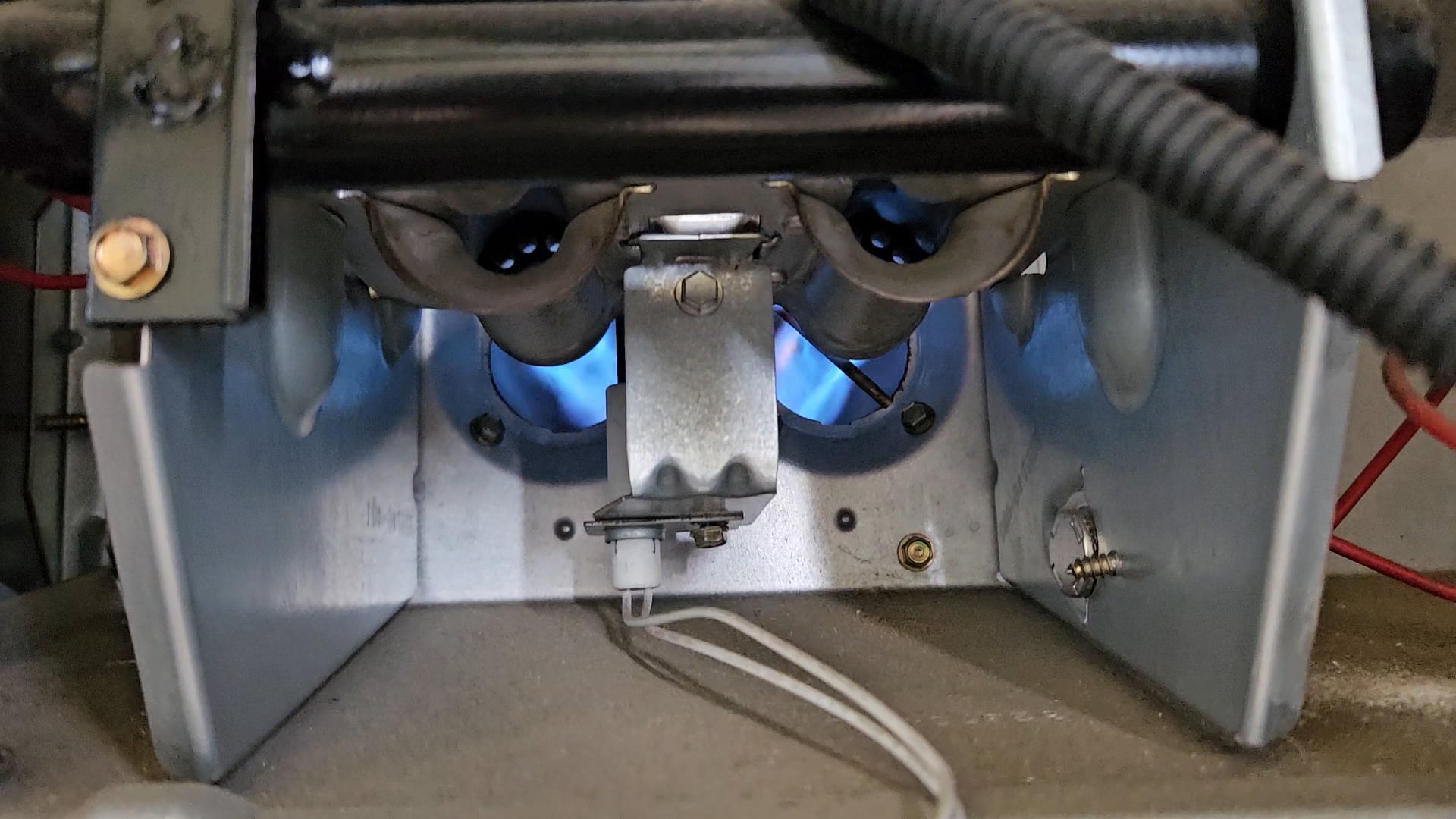 f7ee6299-c250-4909-ad48-22979d4b4585_42643d06-a89c-4b86-9166 ...