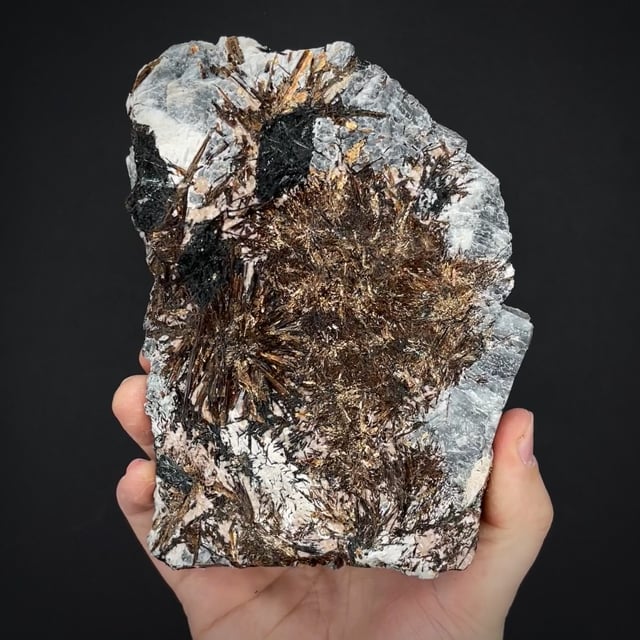 large Astrophyllite | Eveslogchorr Mt, Khibiny Massif, Murmansk Oblast ...