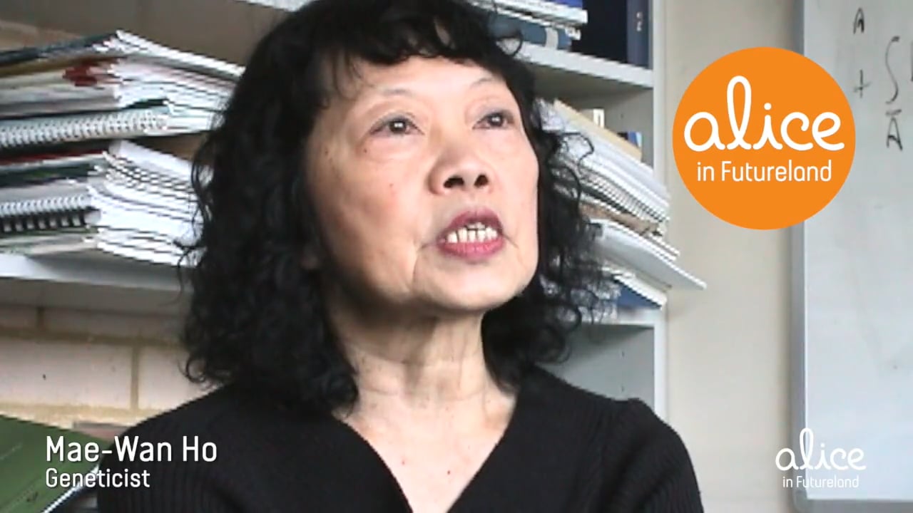 Mae-Wan Ho: interference on Vimeo