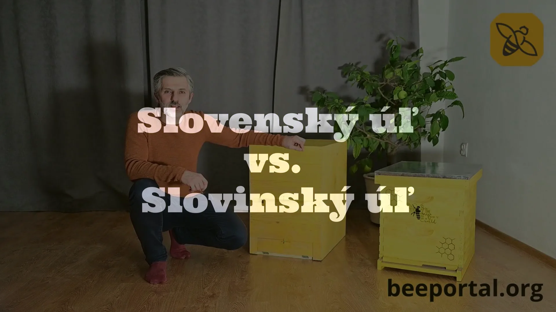 Slovenský úľ vs. Slovinský úľ