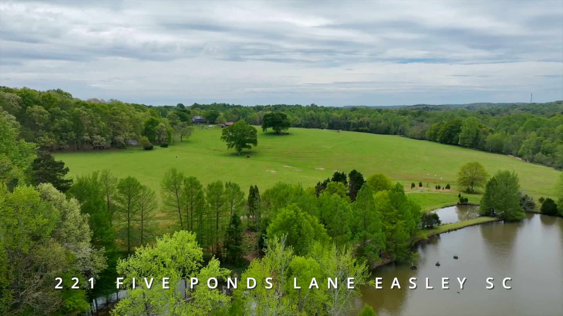 221 Five Ponds (3) on Vimeo
