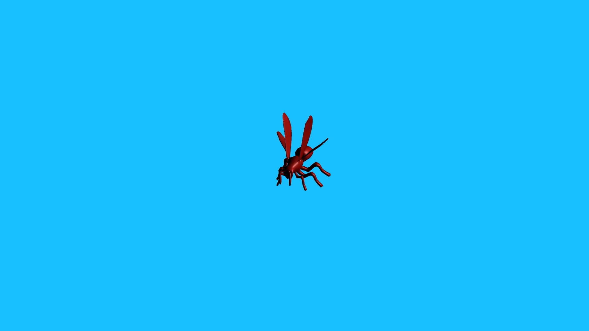 Insect Animation_0078 on Vimeo