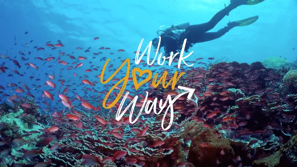 Accor WYW Team Sizzle Reel on Vimeo