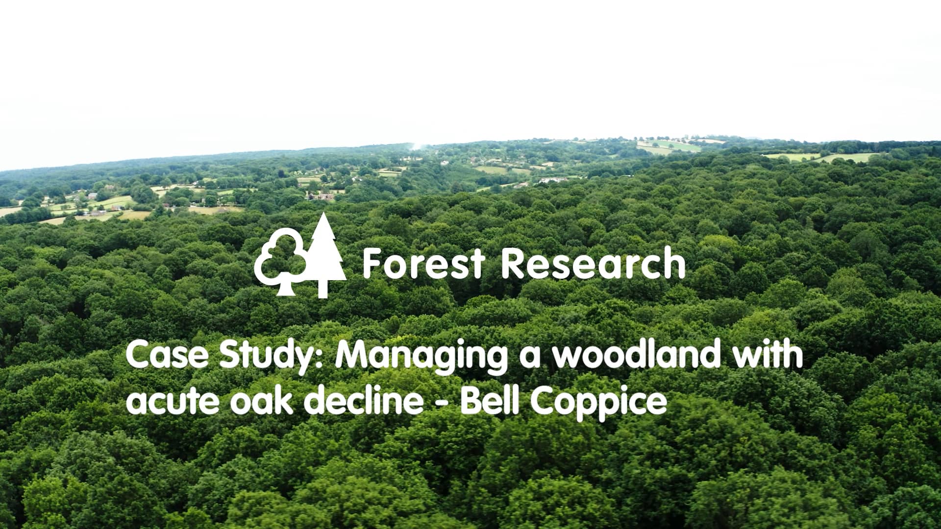 Managing a woodland with acute oak decline - Bell Coppice on Vimeo