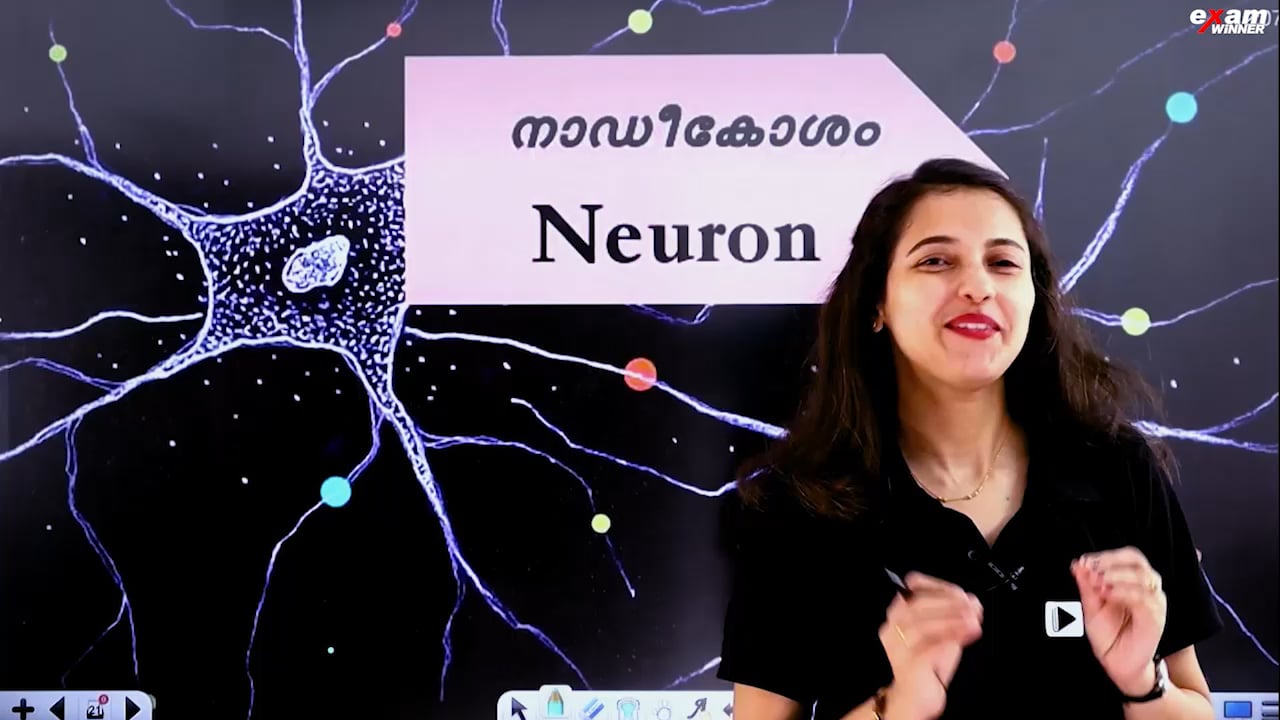MAL 3. NEURON on Vimeo