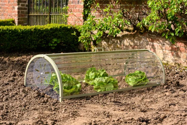 Extra Large Garden Cloche | Fasci Garden