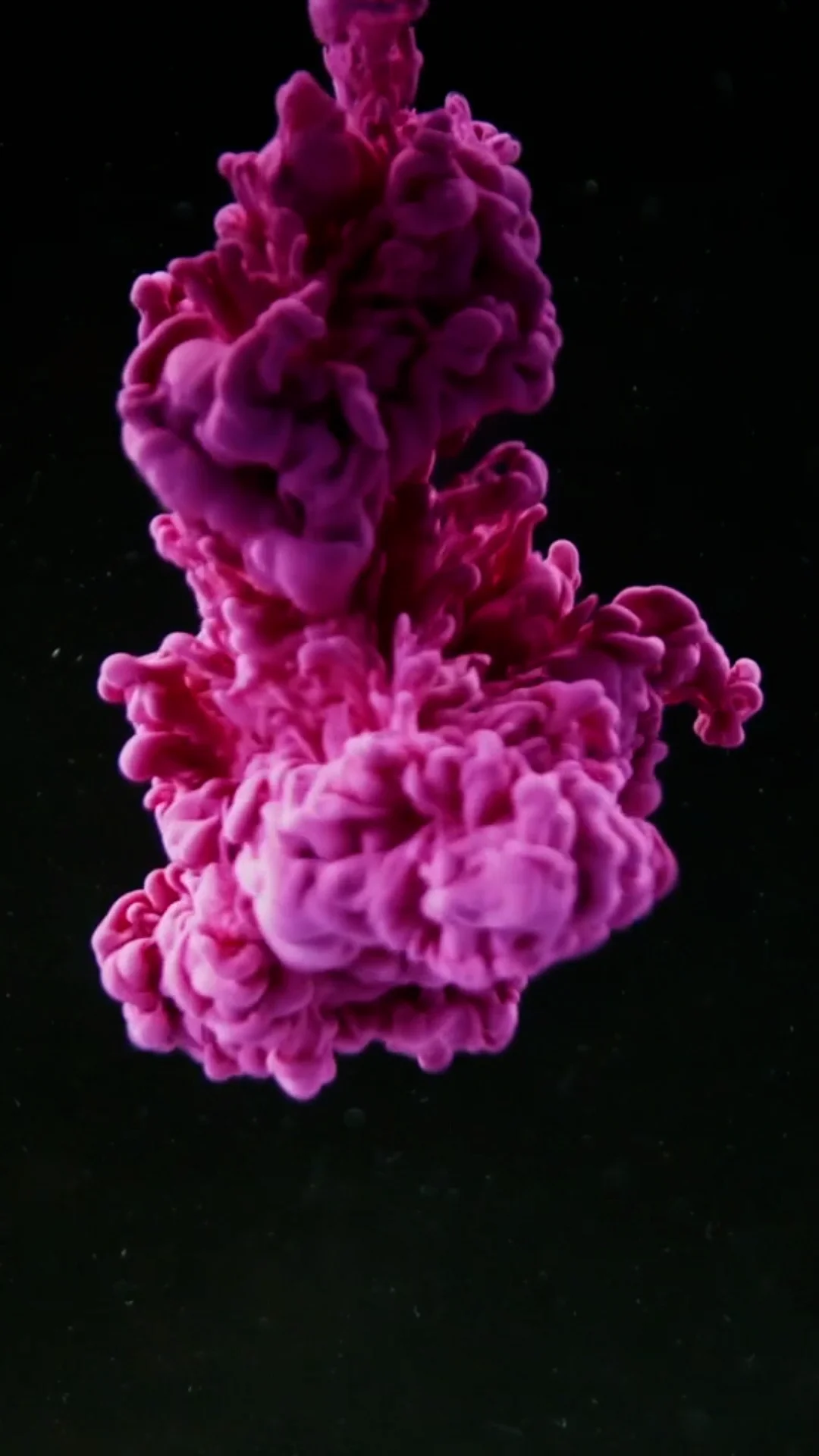 High Level HL on Vimeo