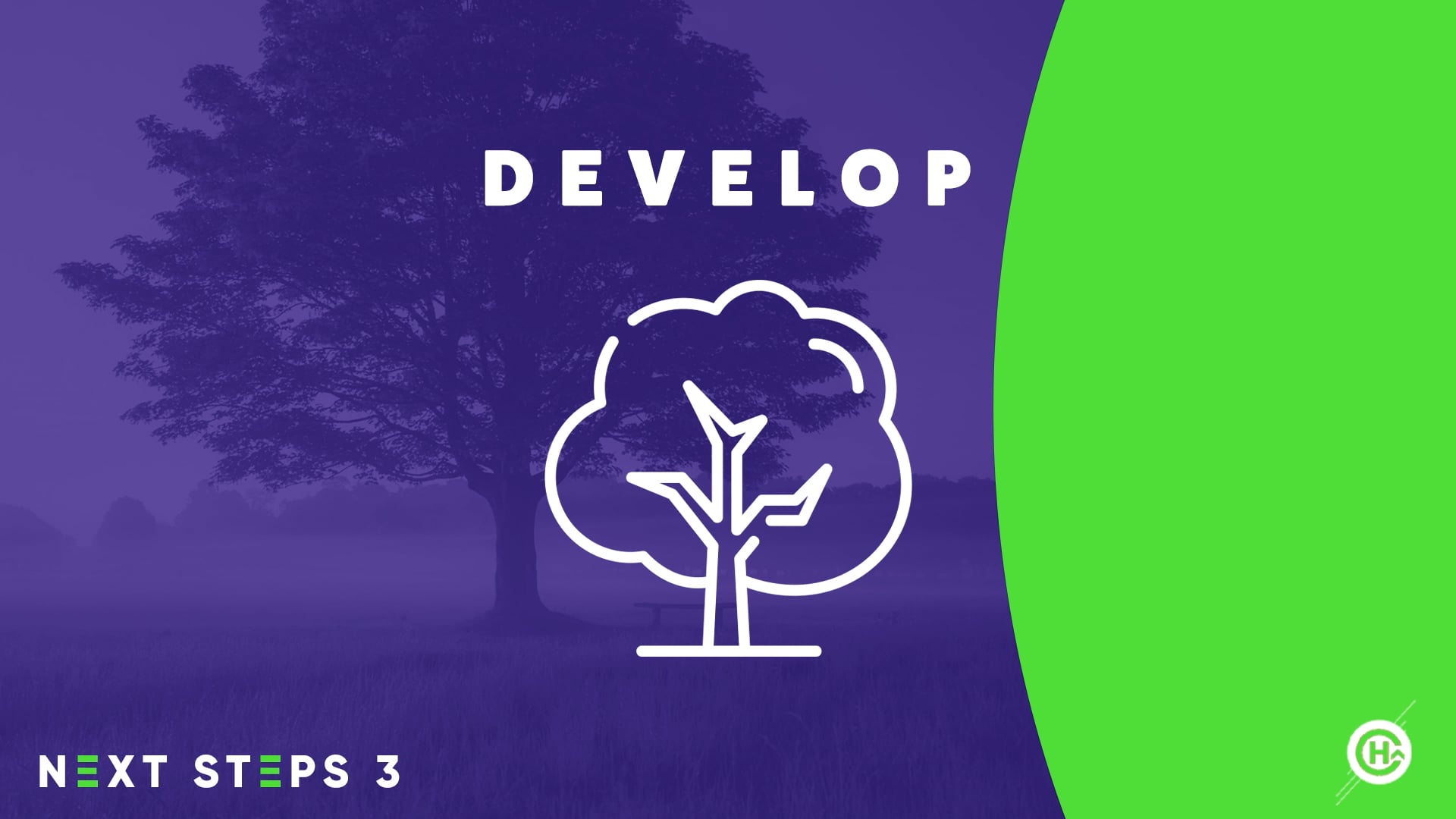 New Next Step 3 2023