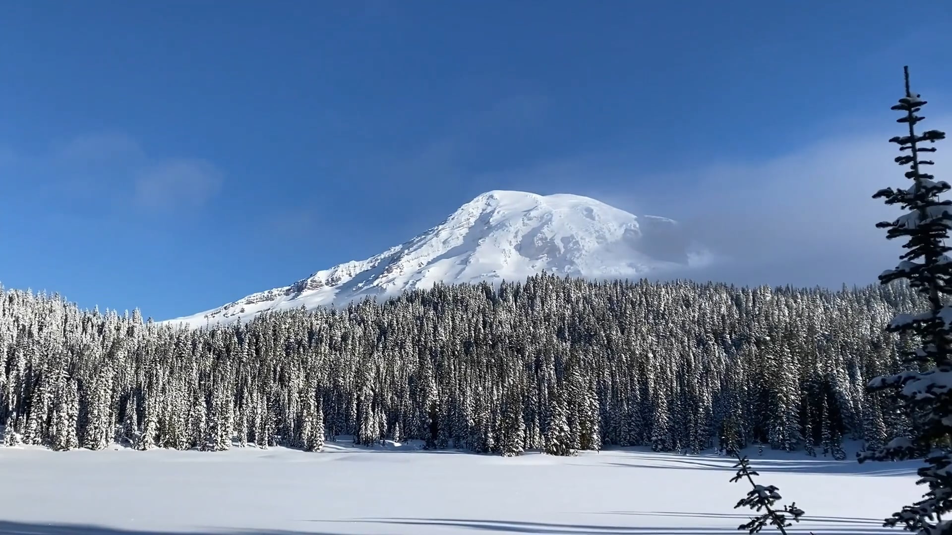 PNW Spring on Vimeo