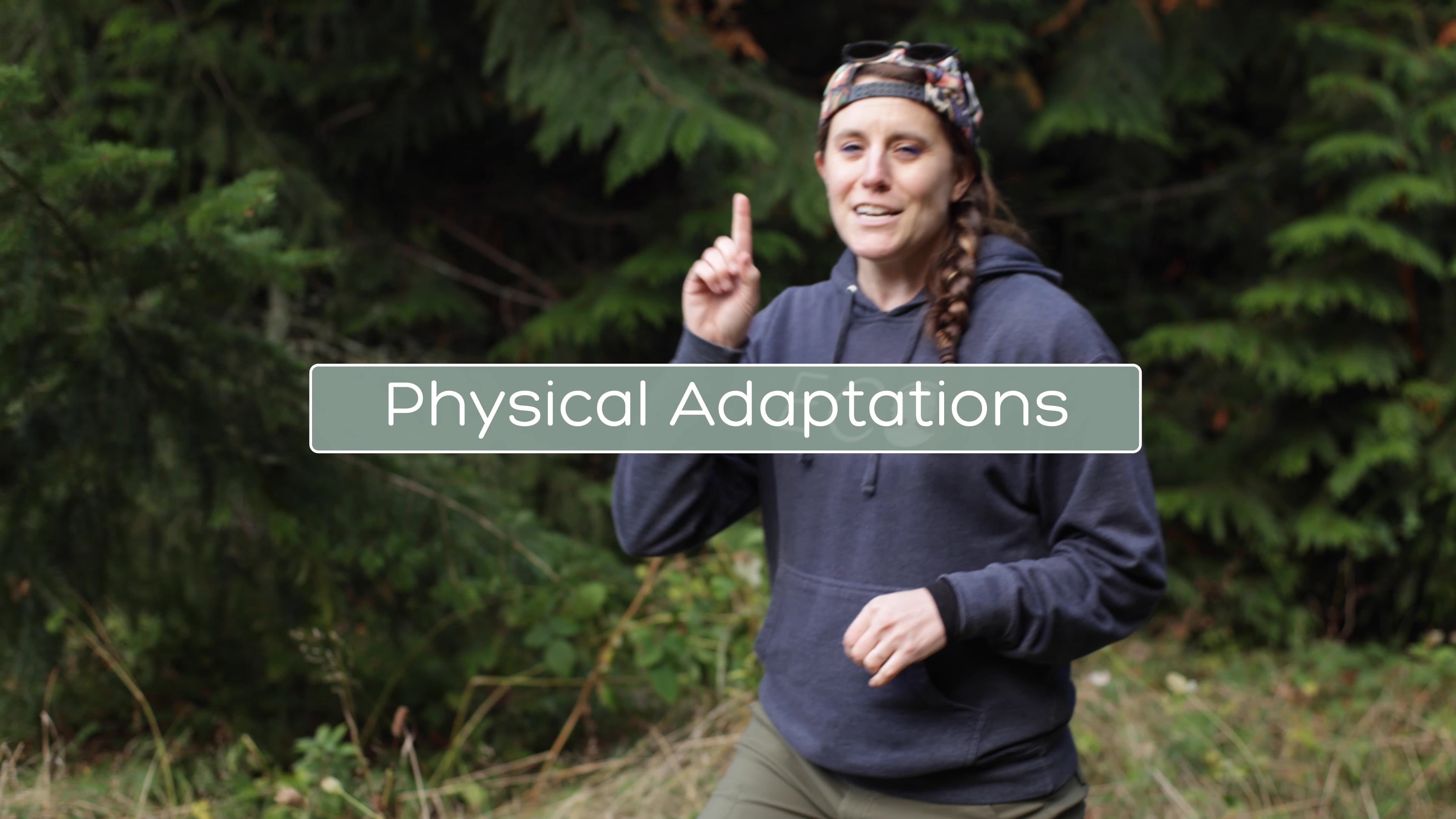 Watch Beaver Adaptations Online | Vimeo On Demand on Vimeo