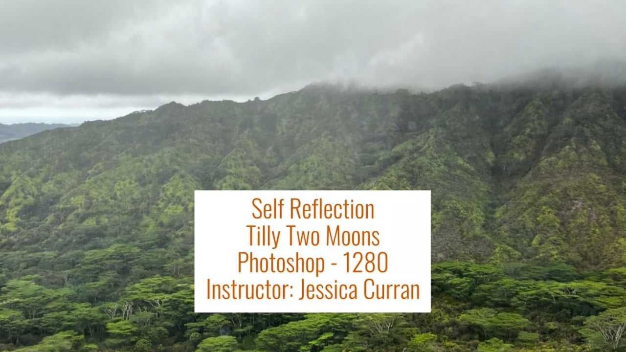 Self-Reflection on Vimeo