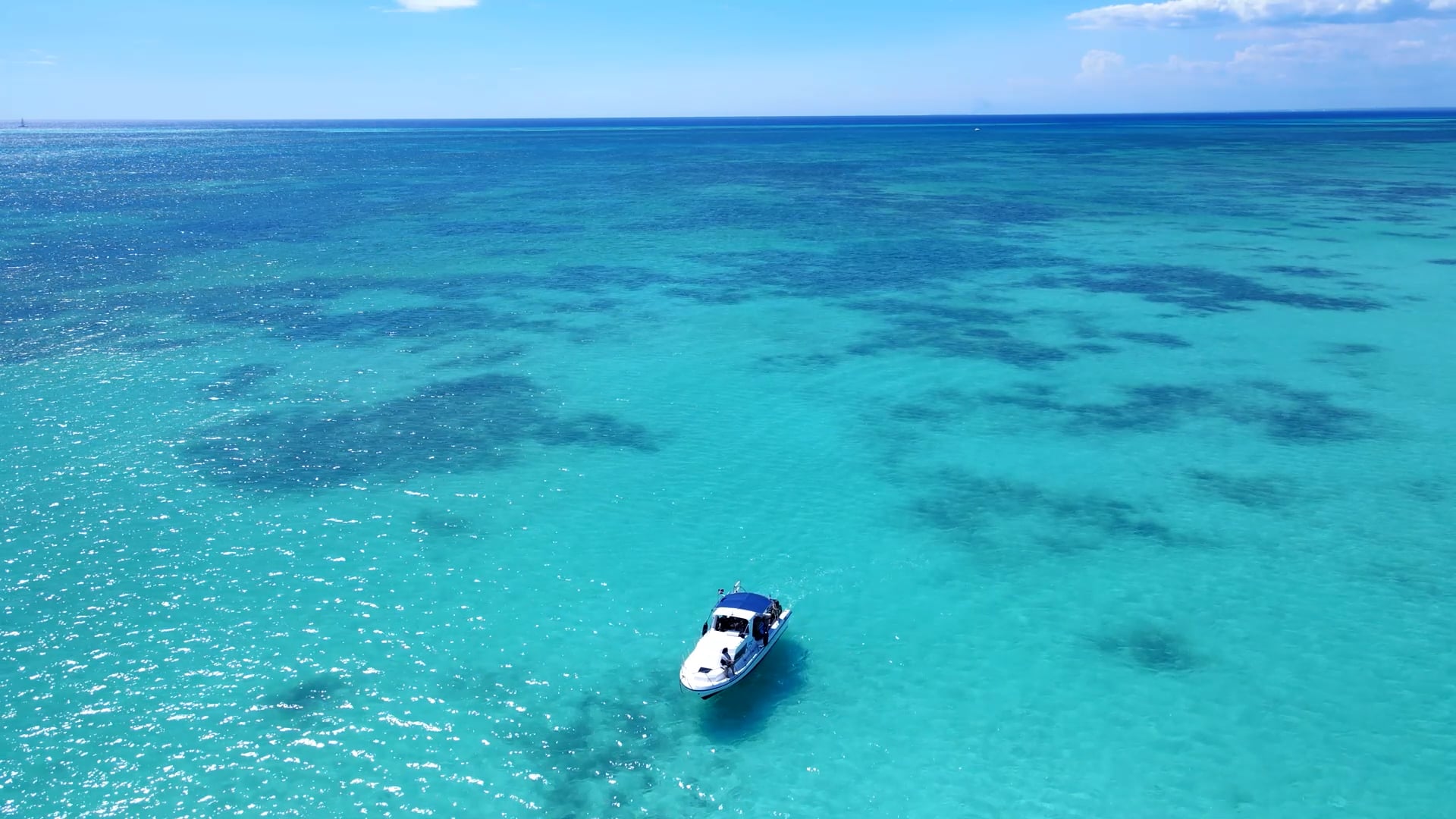 DICF - Clean-Up Events, Mooring Buoys, Underwater Park Dive Site