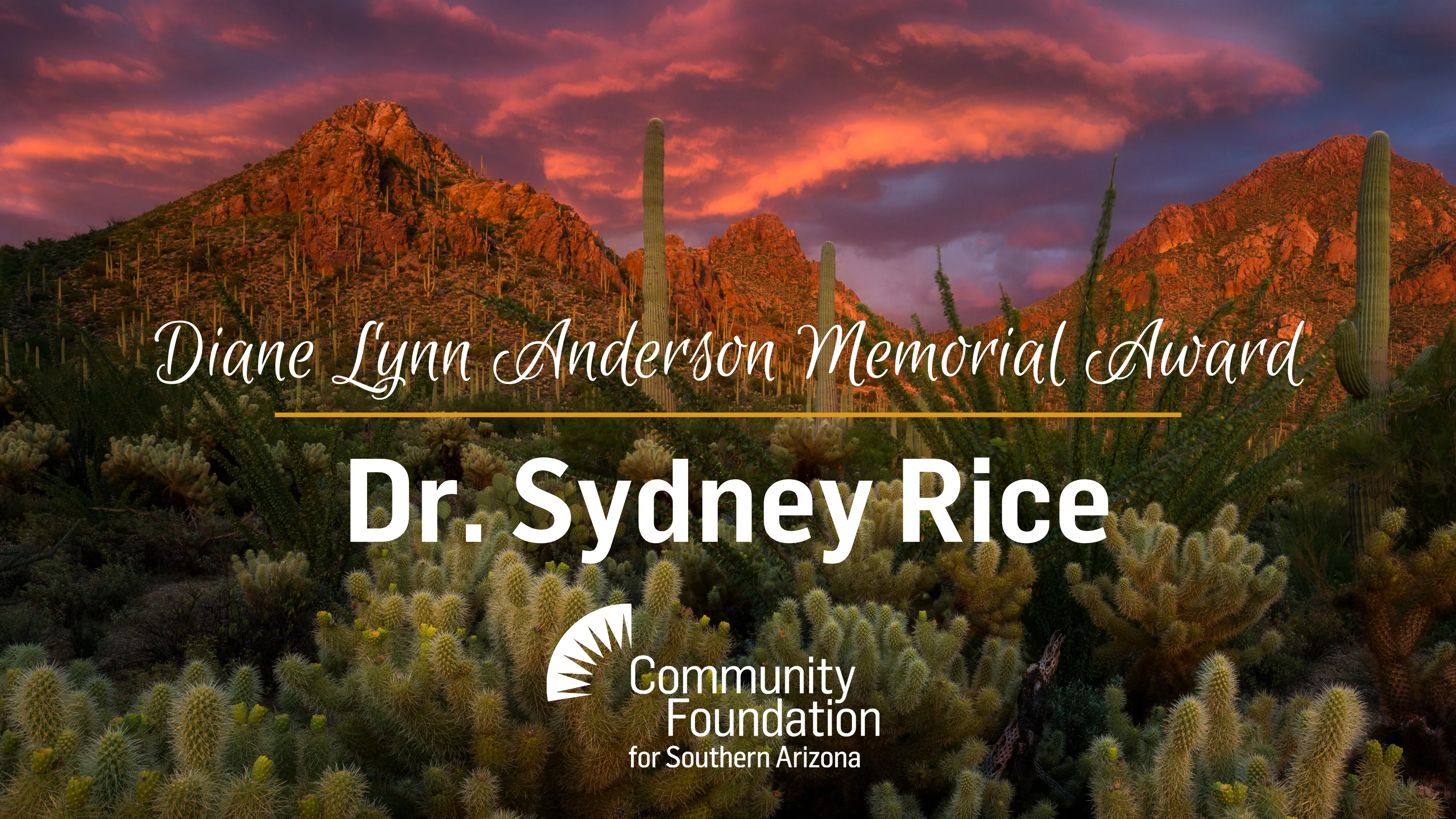 Dr. Sydney Rice - 2023 Diane Lynn Anderson Memorial Award Recipient on ...