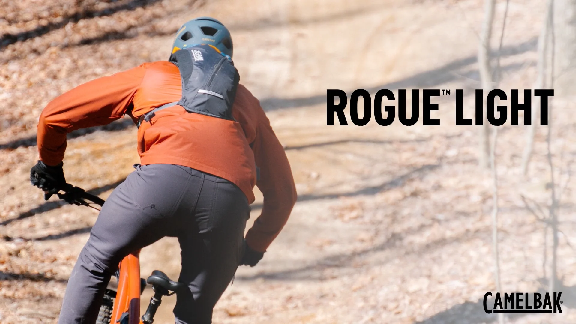 Rogue Light