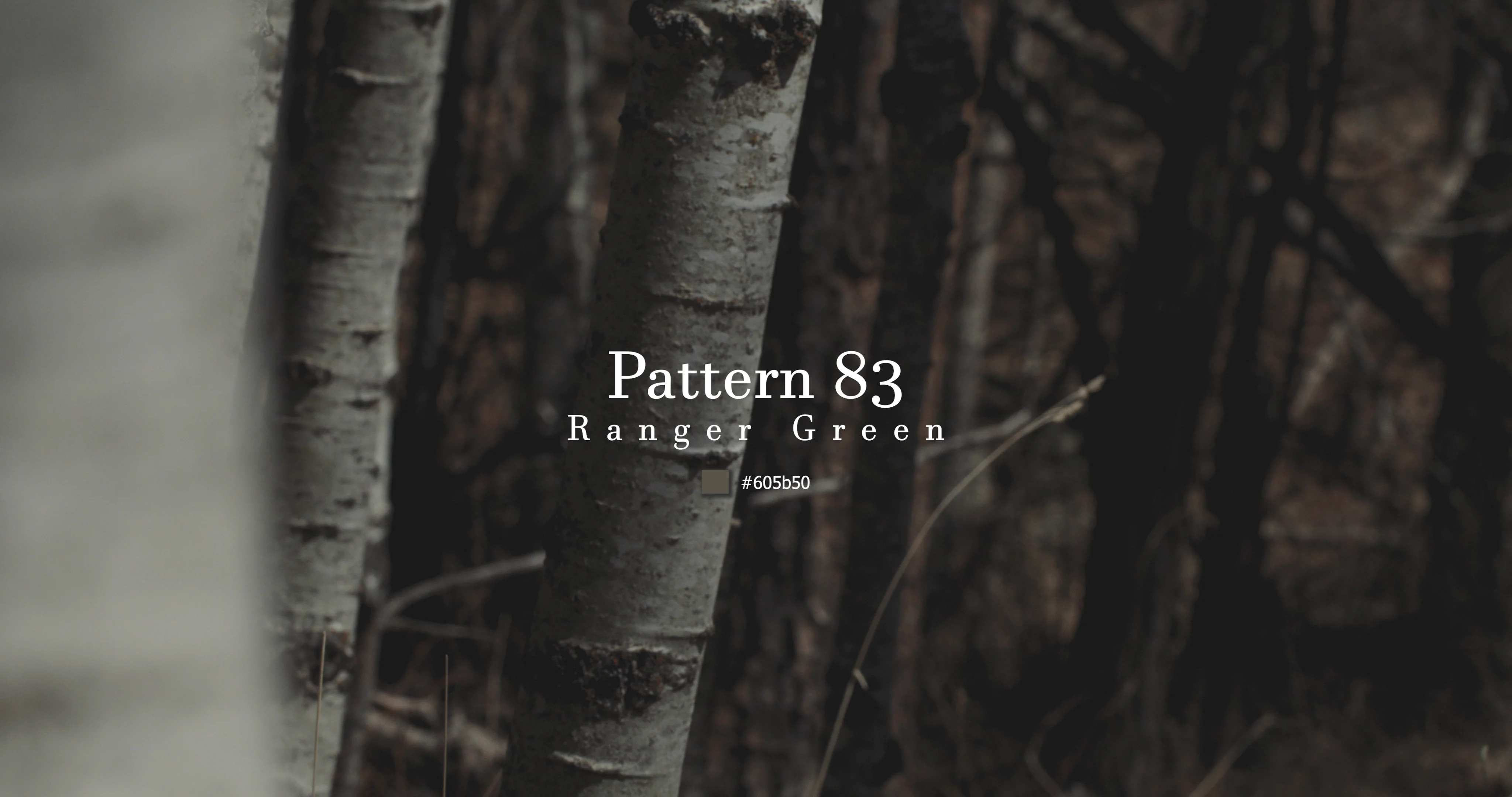 Kommandostore: Pattern 83 - Ranger Green on Vimeo