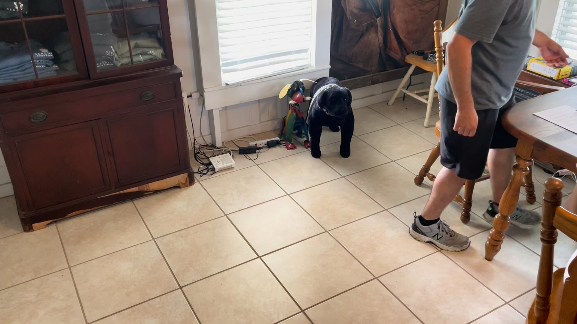 Nico Go Home Part 1 on Vimeo