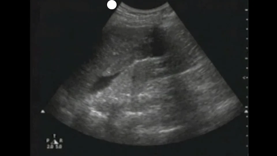 LMS-LD-F-04-RUGPos on Vimeo